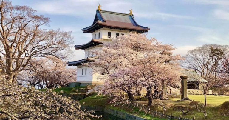 Matsumae Park – Magnificent Japanese Blooms at The Most Northern Castle ...